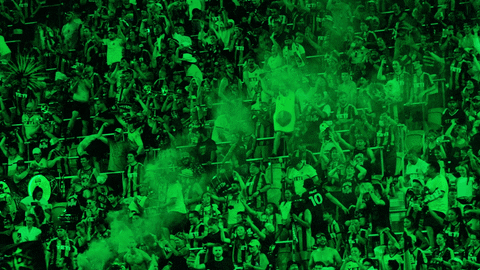 Supporters GIFs on GIPHY - Be Animated