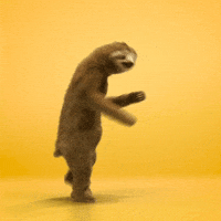 Sloth Gifs