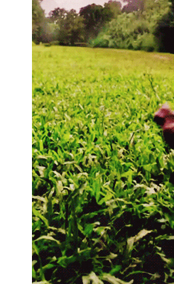 This Man I Swear GIFs - Get the best GIF on GIPHY