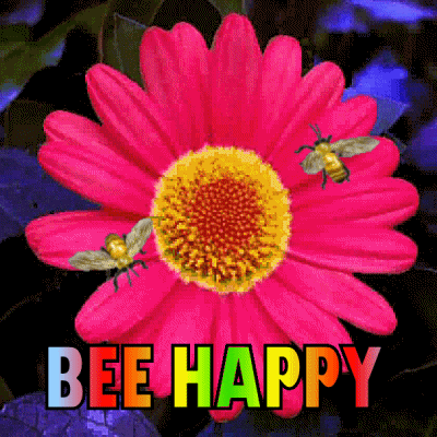 Dont-worry-bee-happy GIFs - Get the best GIF on GIPHY