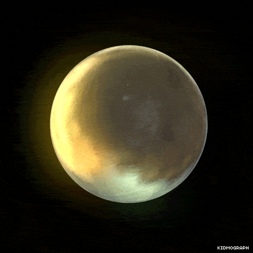 Core GIFs - Find & Share on GIPHY