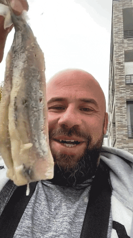 Beastkitchen GIFs - Find & Share on GIPHY