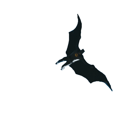 Batman Flying Png