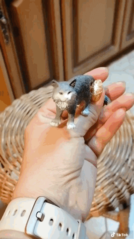 Cat Love GIF by Schleich Inc. - Find & Share on GIPHY
