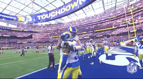 Super Bowl Football GIF by NFL - Find & Share on GIPHY