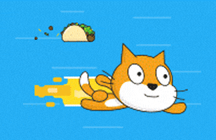 Scratch Day GIFs - Get the best GIF on GIPHY