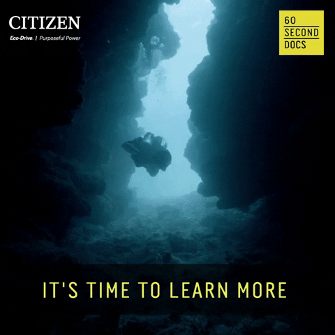 Deep Sea Diver GIFs - Get the best GIF on GIPHY