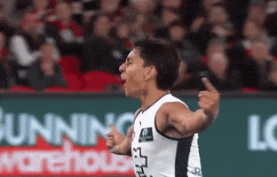 Carlton Football Club GIFs on GIPHY - Be Animated