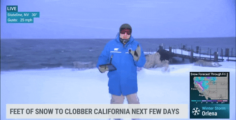 Blizzard Warning GIFs - Get the best GIF on GIPHY