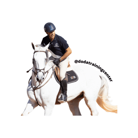 Doda Training Center GIFs on GIPHY - Be Animated