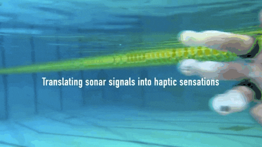 Sonar GIFs - Find & Share on GIPHY
