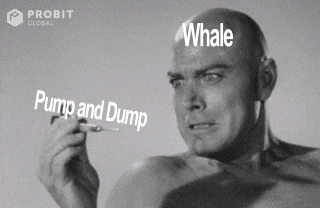 Pump-and-dumps GIFs - Get the best GIF on GIPHY