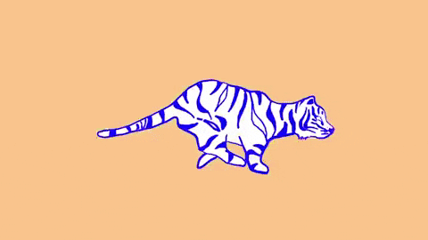 Animated Tiger Running Gif