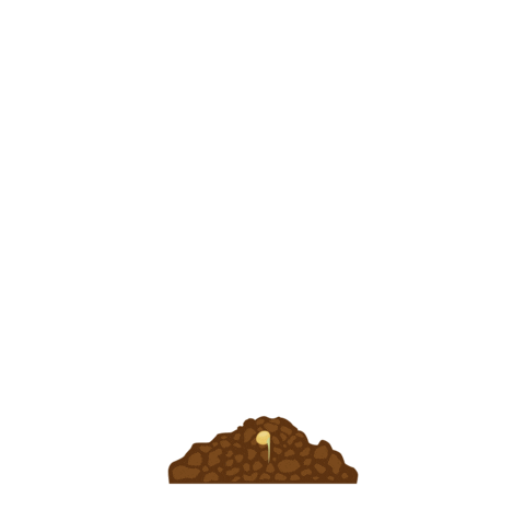 Sementes Veneza GIFs on GIPHY - Be Animated