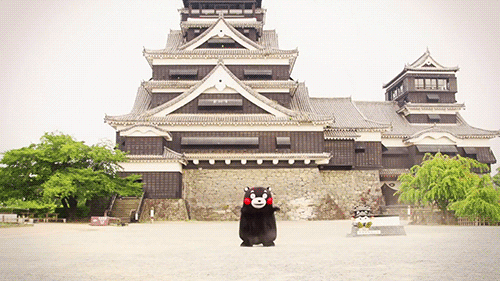Bts-x-kumamon GIFs - Get the best GIF on GIPHY
