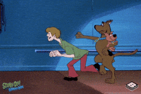 Scooby Doo Scared Gif