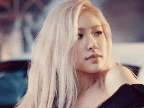 Rose-on-the-ground GIFs - Get the best GIF on GIPHY