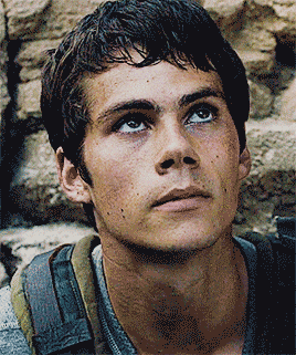 Thomas-tmr GIFs - Get the best GIF on GIPHY