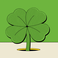 Animated 4 Leaf Clovers