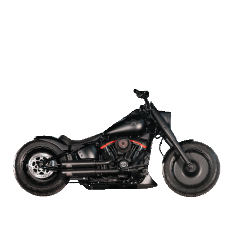 Harley-Davidson Düsseldorf GIFs on GIPHY - Be Animated