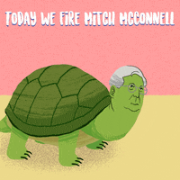Cecil Turtle Mitch Mcconnell