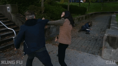 Hand To Hand Combat GIFs - Get the best GIF on GIPHY