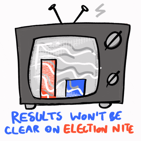Vote Now Election 2020 GIF by INTO ACTION - Find & Share on GIPHY