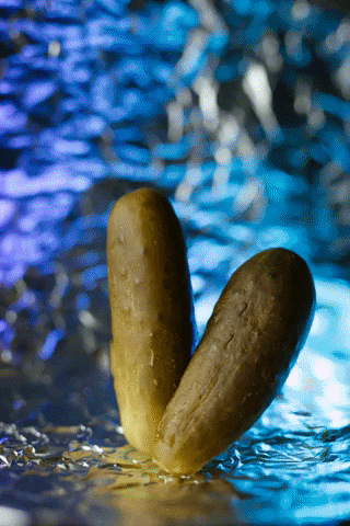 Rave Pickle GIF by Andrea Michelle Photography - Find & Share on GIPHY