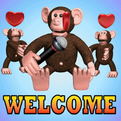 Monkey Clapping GIFs - Find & Share on GIPHY