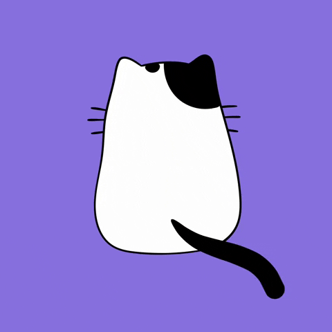 Cat Looking Out GIFs - Get the best GIF on GIPHY