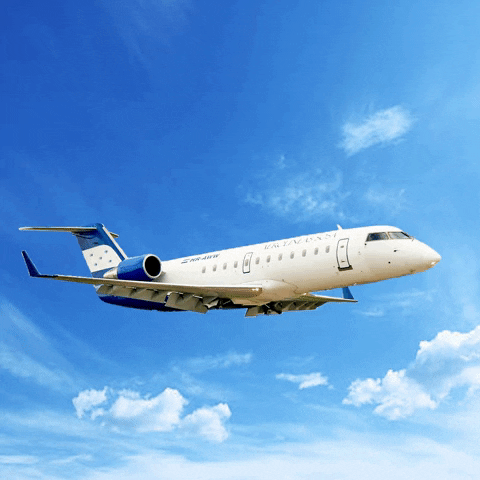 Aerolínea Sosa GIFs on GIPHY - Be Animated