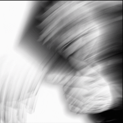 Manga Chapter GIFs - Get the best GIF on GIPHY