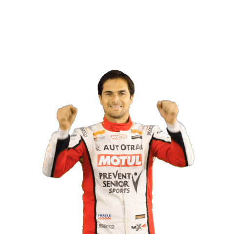Nelson Piquet Jr GIFs on GIPHY - Be Animated