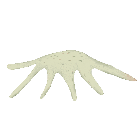 cocoon lab GIFs on GIPHY - Be Animated