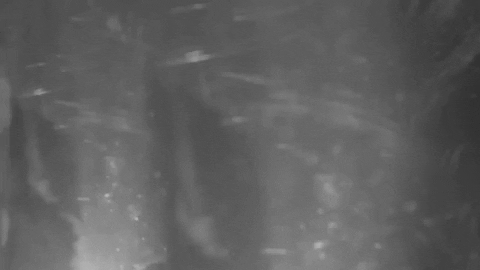 Heavy Metal GIF by Machine Head - Find & Share on GIPHY
