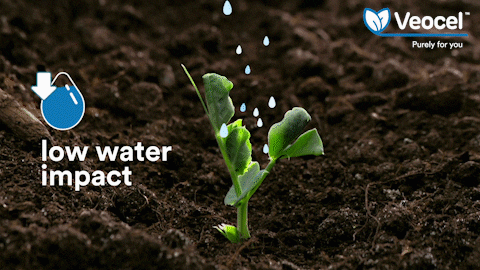Water Plant GIF by VEOCEL by Lenzing - Find & Share on GIPHY