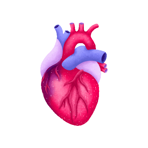 How artificial intelligence is helping to detect heart disease in ...