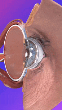 Eye Movements Gifs Find Share On Giphy