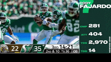 Saskatchewan Roughriders GIFs on GIPHY - Be Animated