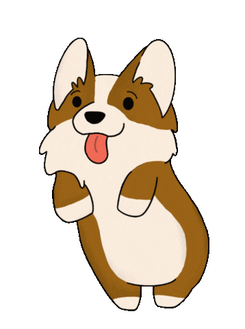 Corgi Jumping Gif