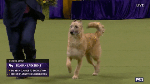 3rd-year GIFs - Get the best GIF on GIPHY