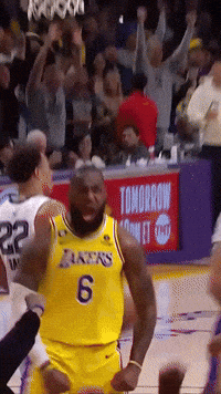 Lebron Face Gif