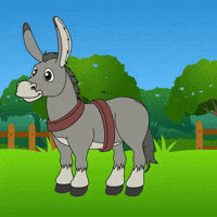 Donkey GIFs - Get the best GIF on GIPHY