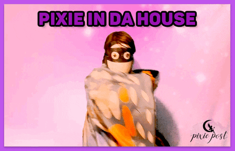 In Da House GIFs - Get the best GIF on GIPHY