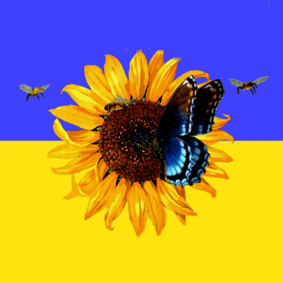 Ukraine Flag GIFs - Find & Share on GIPHY
