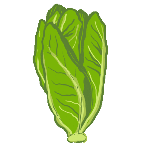 Plant Based Vegan Sticker by megan motown for iOS & Android | GIPHY