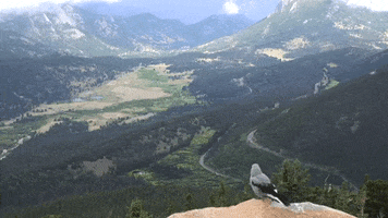 Crested Butte Colorado GIFs - Find & Share on GIPHY