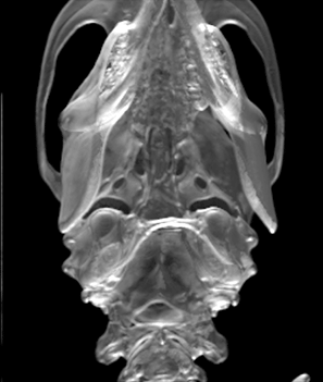 Ct Ufsm GIFs - Find & Share on GIPHY