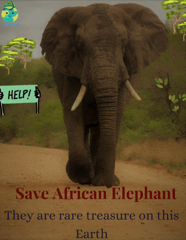 Treasured GIFs - Get the best GIF on GIPHY