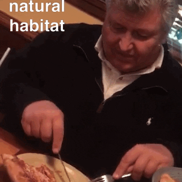 Natural-habitats GIFs - Get the best GIF on GIPHY